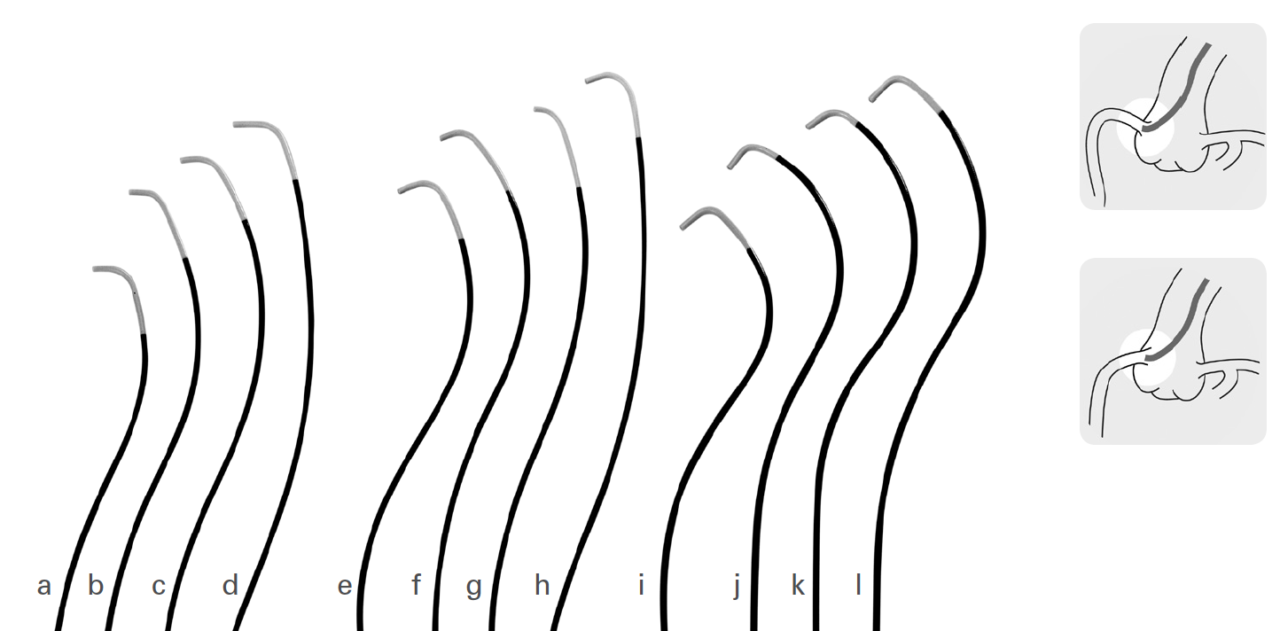 Basics - Catheters - Cardiology Apps