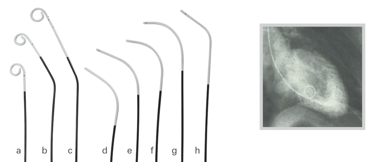 Basics - Catheters - Cardiology Apps